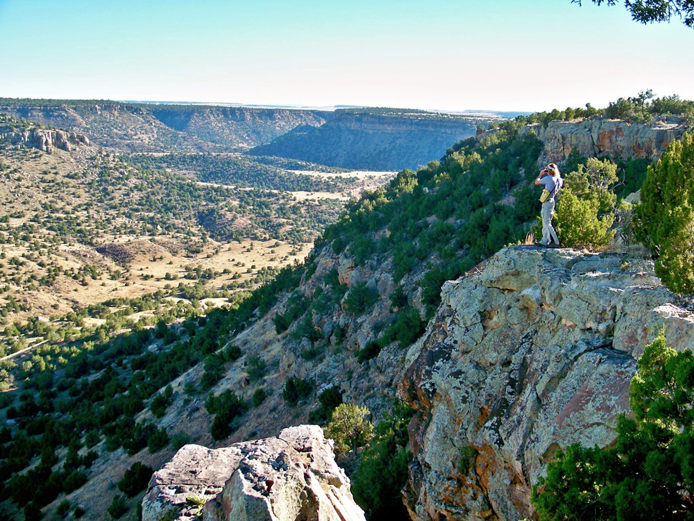 Wild Connections: Mapping Potential Wilderness Areas – Colorado Central ...