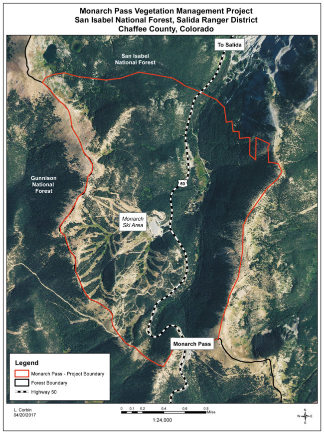 Beetle Kill on Monarch: What’s Being Done? – Colorado Central Magazine