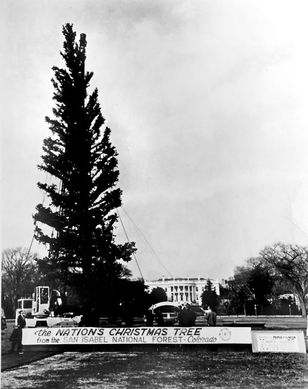 A Lost Tribute to a Historic Christmas Tree – Colorado Central Magazine