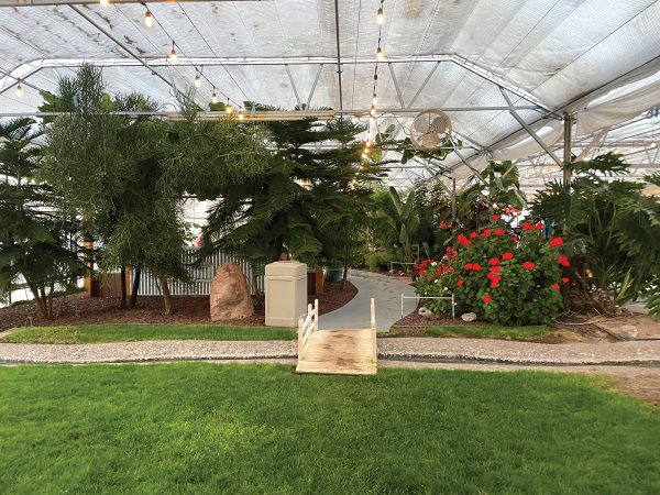 High Desert Magic: Hooper Pool – Colorado Central Magazine