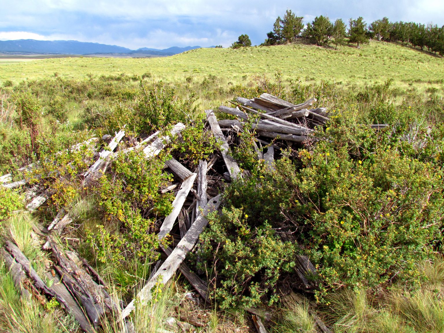 Tarryall City & Hamilton: South Park’s First Gold Rush – Colorado ...