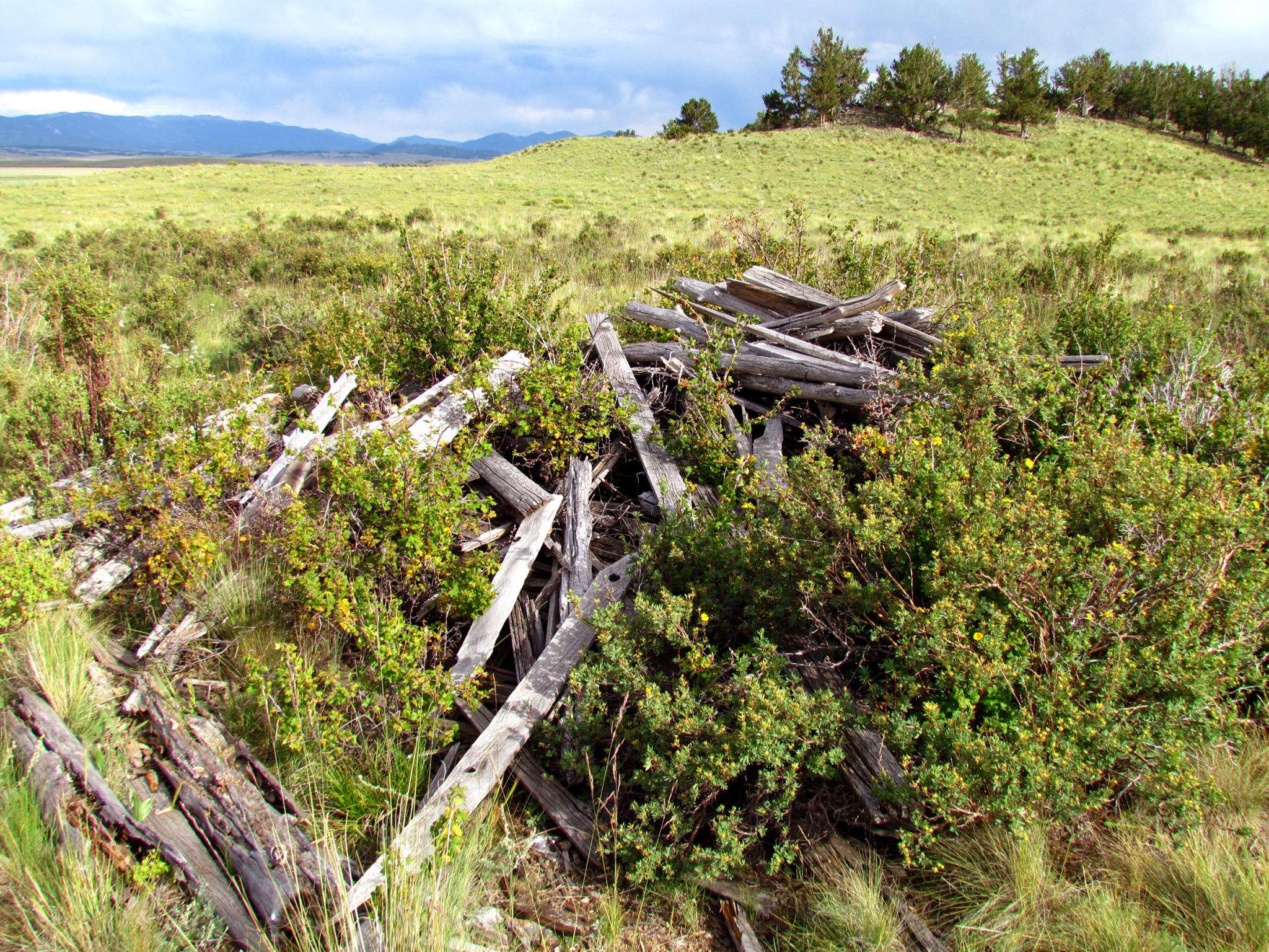 Tarryall City & Hamilton: South Park’s First Gold Rush – Colorado ...